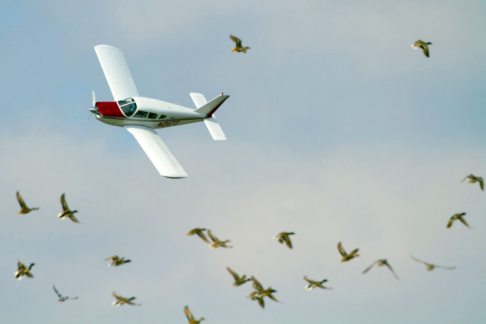 Forbes 130th anniversary – Prairie Research Institute