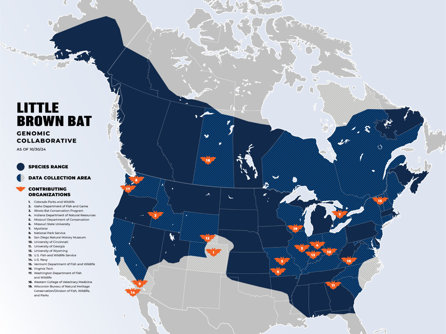 Saving the little brown bat – Prairie Research Institute